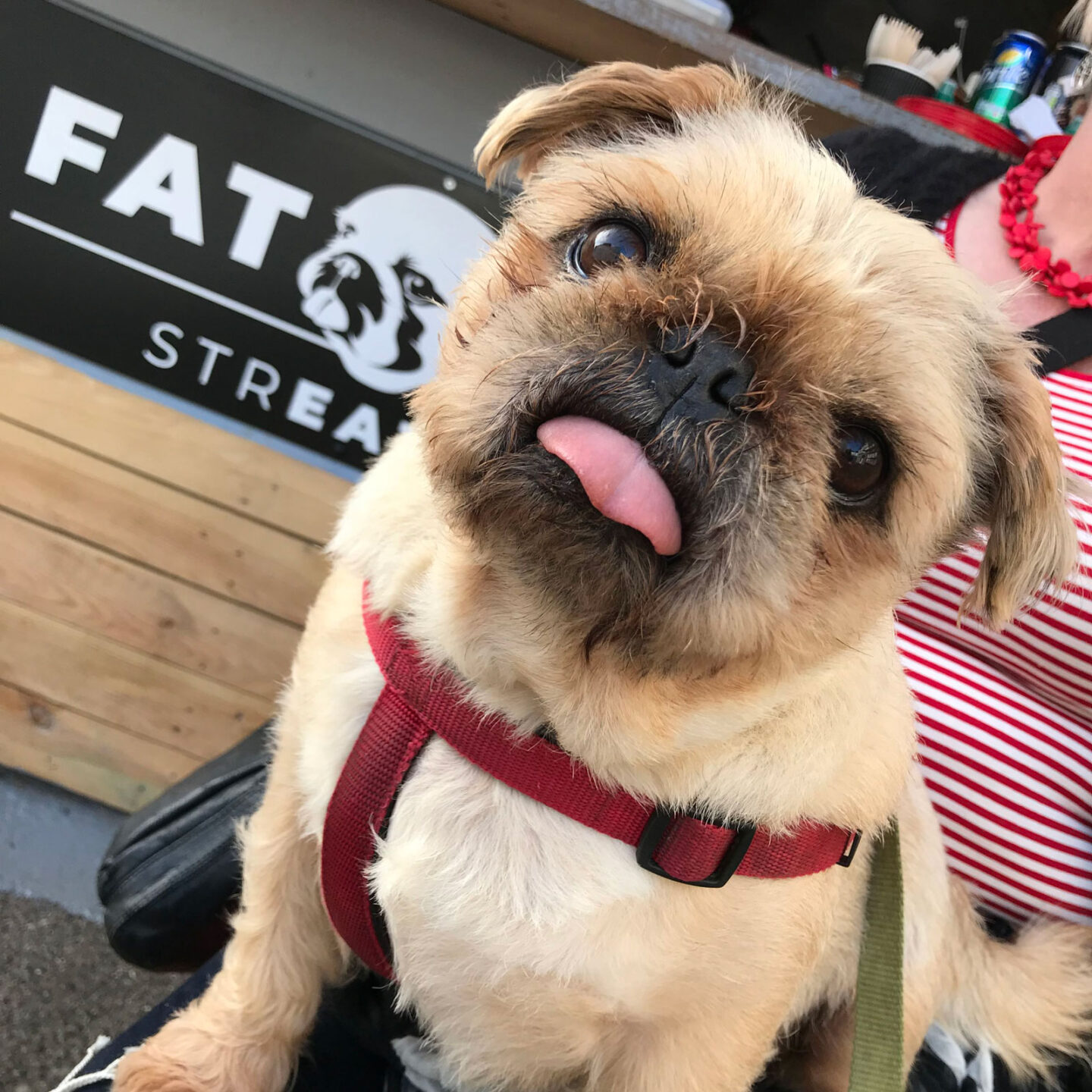 Home - Fat Teds Streat Food
